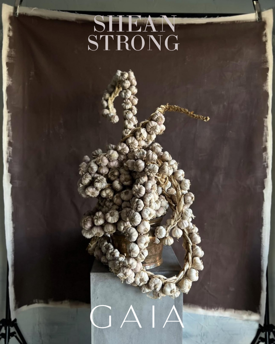 2025 Solstice workshop ~ GAIA x Shean Strong